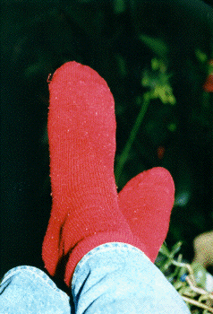 This page is temporarily closed.